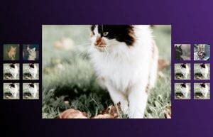 25 Best CSS Slideshow Examples With Demo Source Code