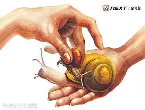 기초디자인 2022 서울여대 수시 시각디자인과 기초디자인 실기고사 송파 넥스트 미술학원 미술학원 작품갤러리 실기연재