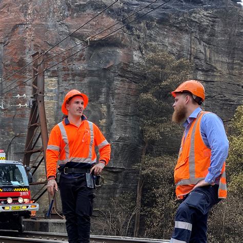 Tree Survey Reports NSW Level Arborists Tree Survey