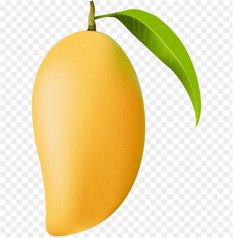 Free Download Hd Png Mango Png Clip Art Image Mango Clipart Png