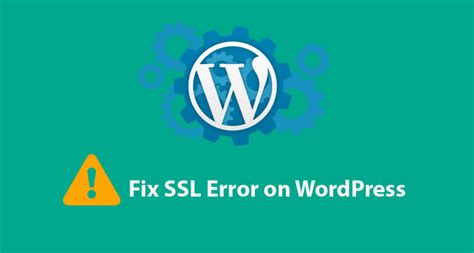 Setting Up An Ssl Certificate On Wordpress And Solutions To Common Issues