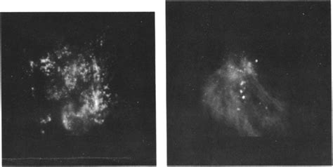Epifluorescence Micrographs Of Toad Bladder Endosomes Labeled With 6cf