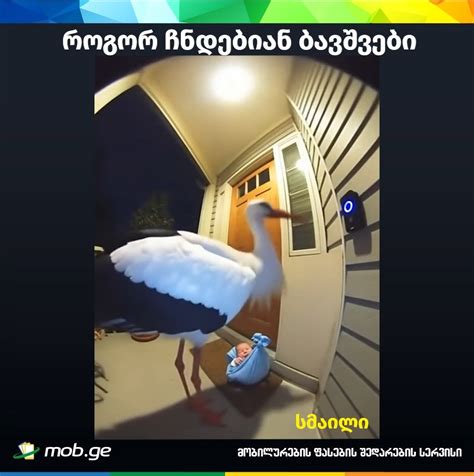 Followers ყველა გვიყვარხართ ქალიან კაციან განათხოვარიან გაუთხოვრიან გასათხოვარიან