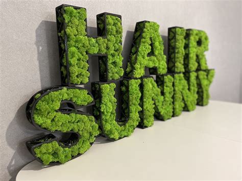 Логотипи літери з стабілізованим мохом Інші послуги Ужгород на Olx