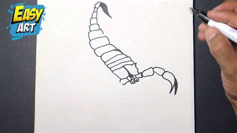 How To Draw A Scorpion Como Dibujar Un Escorpion YouTube