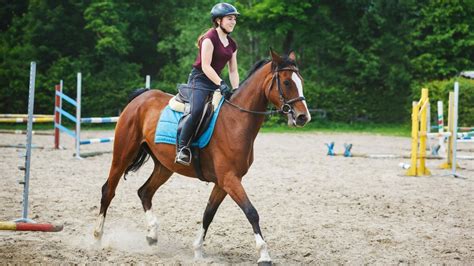 Improve Your Riding At Home 13 Ways To Get Better At Riding Without A