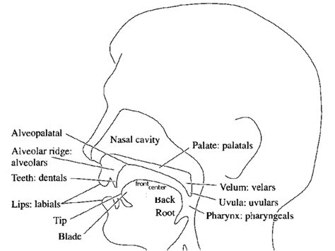 Properties Of Sounds Azus Notes