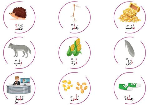 الشرح حرف الذال ذ الصف الأول اللغة العربية 1 فصل ثان