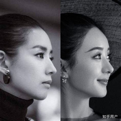什么样的鼻子好看？ 知乎