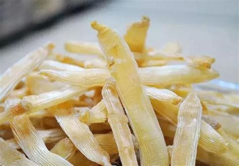 北海沙蟲上榜廣西最美味的美食 每日頭條