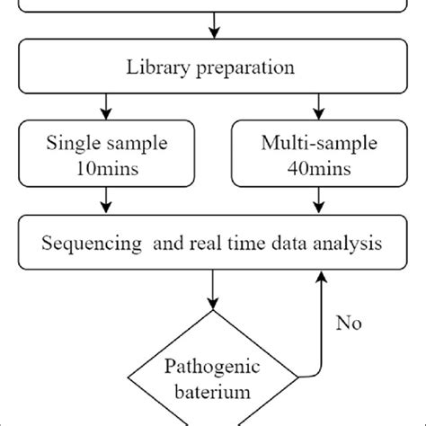 Sample Processing And Analysis Pipeline Download Scientific Diagram