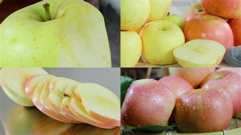 黄金帅红富士4k 视频素材下载 编号 5643059 光厂 Vj师网