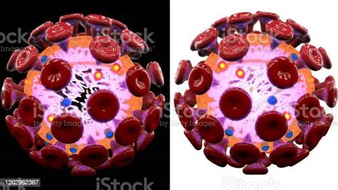 코로나바이러스 2019ncov의 흰색과 검은색 이미지에 격리되어 화차이나에서 발병3d 렌더링 3차원 형태에 대한 스톡 사진 및