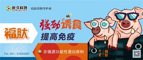 澳门威尼斯人 中国 官方网站