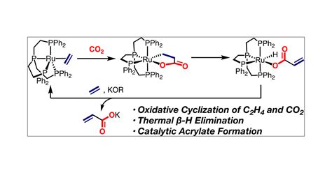 Solid Phase Synthesis As A Platform For The Discovery Of OFF