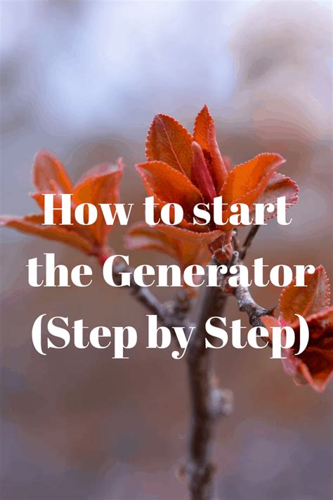 How To Start The Generator Step By Step Generators Zone