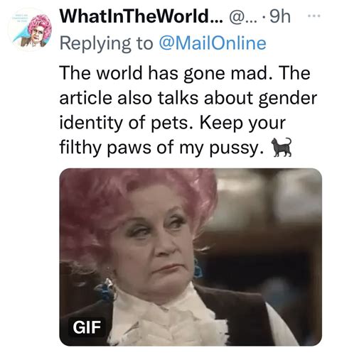 𝕋𝕙𝕖 𝕎𝕒𝕟𝕥𝕠𝕟 𝕎𝕖𝕟𝕔𝕙 On Twitter I Cant Take Much More Of This The World