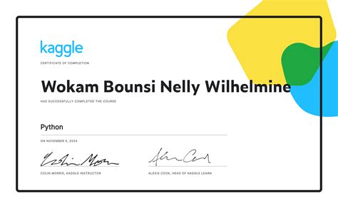 Wokam Bounsi Nelly Wilhelmine Completed The Python Course On Kaggle