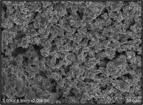 Scanning Electron Microscopy Micrograph Of Synthesized Silica Particles Download Scientific