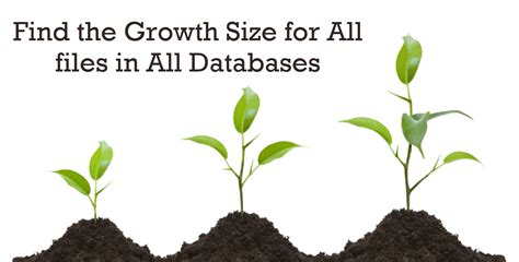 Sql Server Table Size Growth History At Isla Darwin Blog