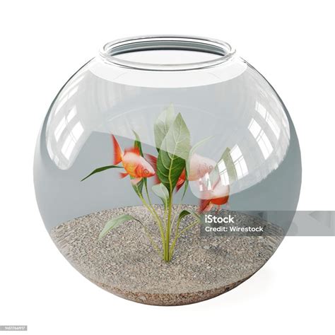 흰색 배경에 격리된 수족관에 있는 일부 물고기의 3d 렌더링 그림 0명에 대한 스톡 사진 및 기타 이미지 0명 3차원 형태 개념 Istock