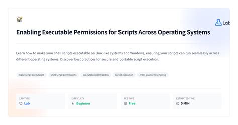 Enabling Executable Permissions For Scripts Across Operating Systems