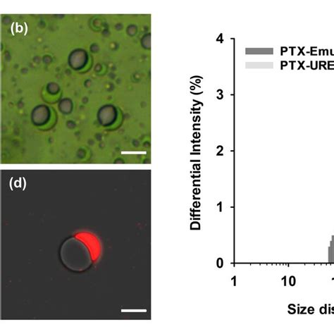 Log P And Log S Values For All Drugs Download Scientific Diagram