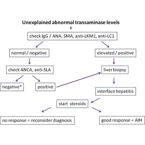 Autoimmune Hepatitis Panel Test Price In Delhi Cost Near Me India