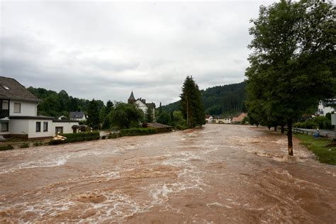 Wat Klimaatveranderingen Met Zich Meebrengen Bloemenpark Appeltern