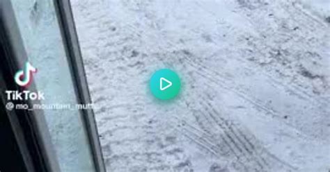 Greyhound Making Improvements Album On Imgur