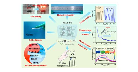 Temperature Tolerant Versatile Conductive Zwitterionic Nanocomposite