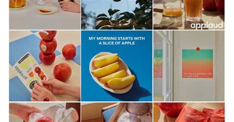 어플러드 “사과와 함께하는 친환경 라이프스타일 제공할 것