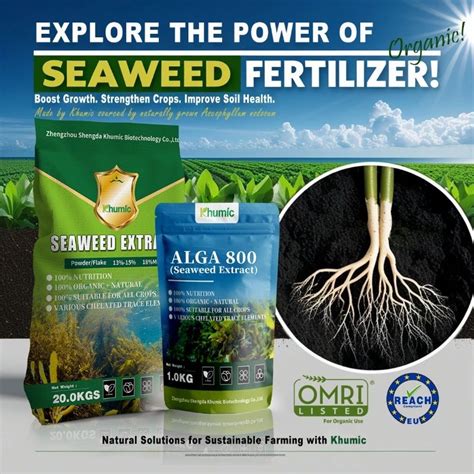 Leonardite Perlhumus Watersolublefertilizer Aminoácidos Humic