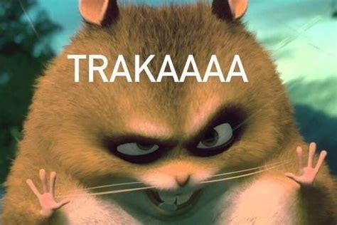 Qué Significa Y Cómo Usar ‘traka La Expresión Viral De Tiktok Que Usa Yeri Mua Infobae