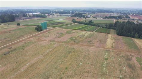 Microchip Technology Announces 2000 Layoffs At Factories Including In