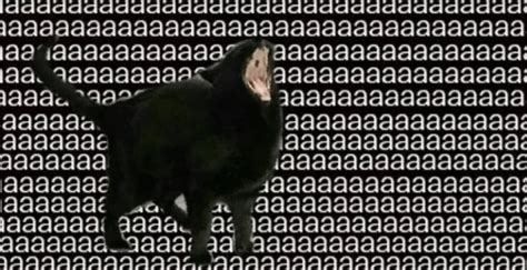 Aaaaa A Aaaa A Aaaaaaa Aaaa Aaa Aa Aaaaaaaa Aaaaaaaaaa A Aaa R Aaaaaaaaaaaaaaaaa