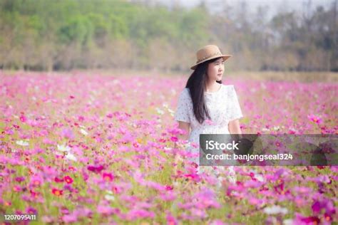 흰색 드레스를 입고 쾌활한 모자를 쓰고 하얀 하늘과 구름이 있는 다채로운 코스모스 필드에 서 있는 아시아 소녀 수안 싱 치앙라이 태국 공휴일에 대한 스톡 사진 및 기타