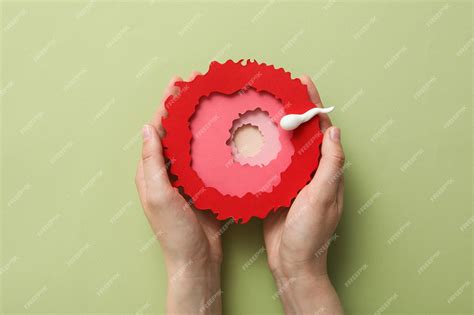 Premium Photo Concept Of Fertilization Period Of Ovulation Ovum