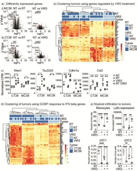 A Novel Small Molecule Enpp1 Inhibitor Improves Tumor Control Following