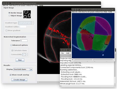 Morphological Segmentation Imagej Documentation Wiki