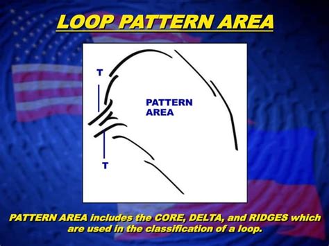 Fingerprint Classification Loop Patterns Pptx
