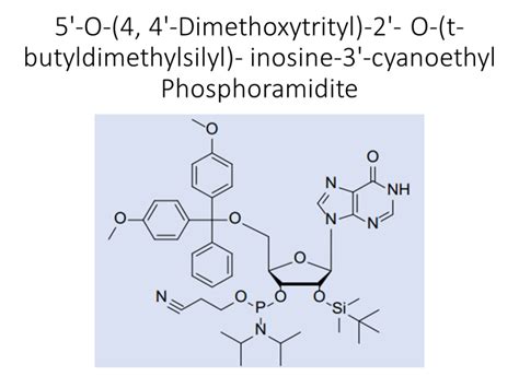 Rna Phosphoramidites Akonscientific