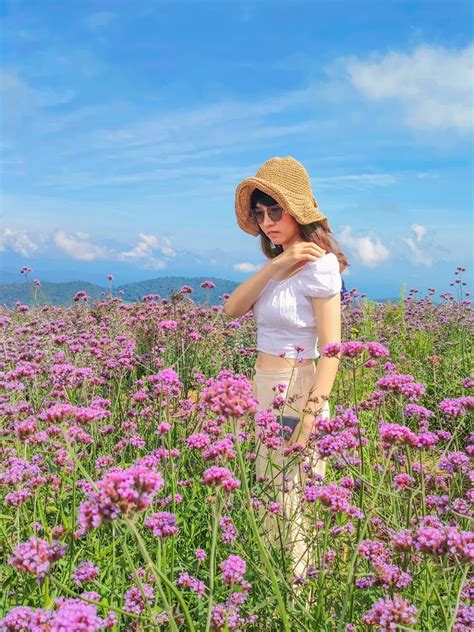Ying Yong Flower Garden Chiang Mai Recreate Dreamy K Drama Photos