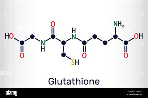 Glutathione Gsh Stock Vector Images Alamy