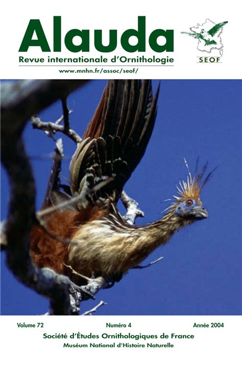 Pdf Bird Bill When Anatomy And Eco Ethology Need Each Other