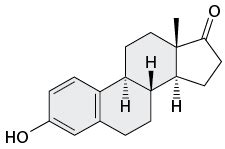 Lab Testing Partners Neurotransmitter And Hormone Testing Sanesco