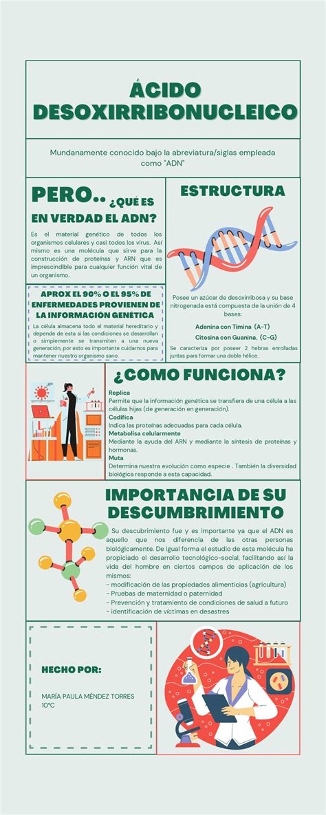 InfografÍa Sobre El Adn DefiniciÓn Bases Nitrogenadas FunciÓn E