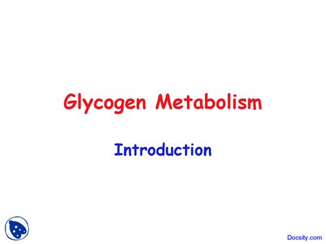 Metabolism Biochemistry Lecture Slides Docsity
