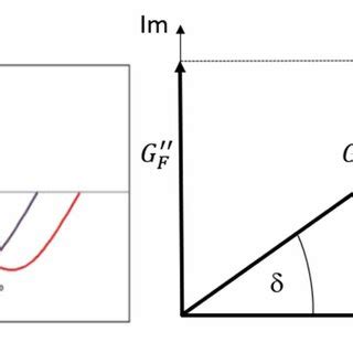 Left Schematic Of The Sinusoidal Input And Response Functions With Download Scientific Diagram