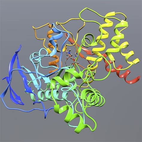 Ester Functional Groups Explained And Illustrated